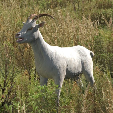 DayZ - Jagd- & Angel-Guide - Survival-Sandbox.de