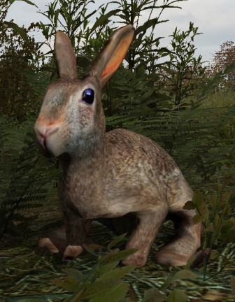 DayZ - Jagd- & Angel-Guide - Survival-Sandbox.de