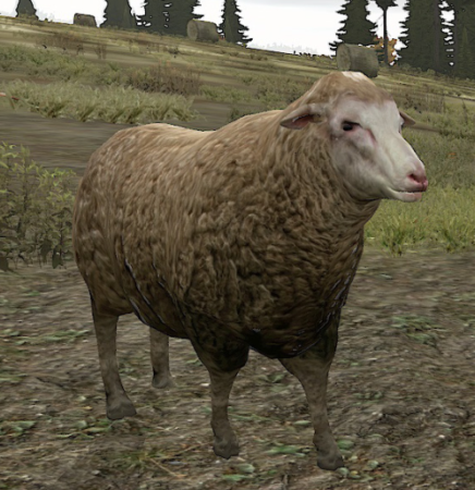 DayZ - Jagd- & Angel-Guide - Survival-Sandbox.de