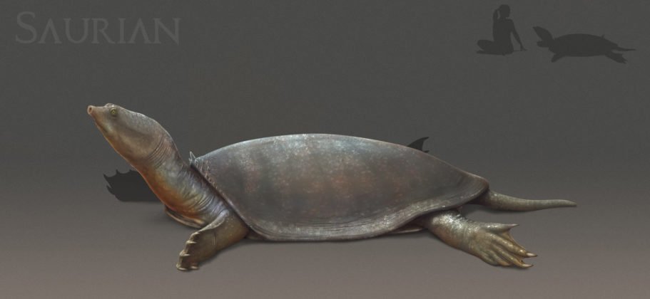 Saurian - Devlog #9 - Survival-Sandbox.de