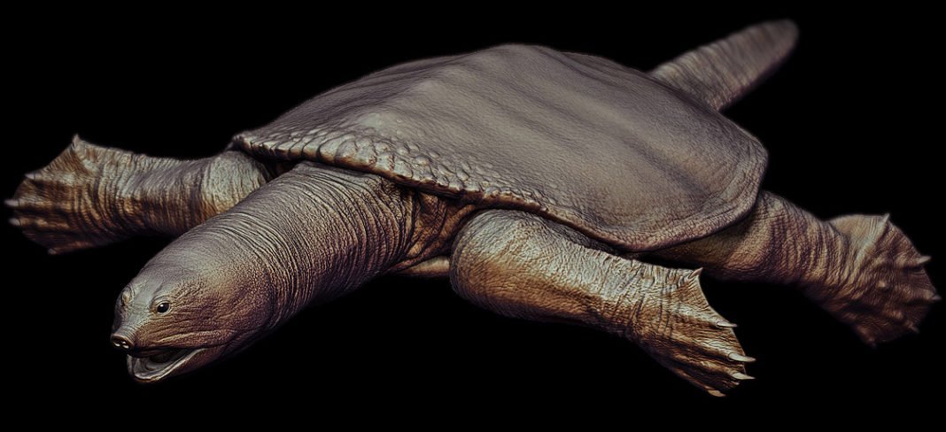 Saurian - DevLog #16: Release verschoben - Survival-Sandbox.de